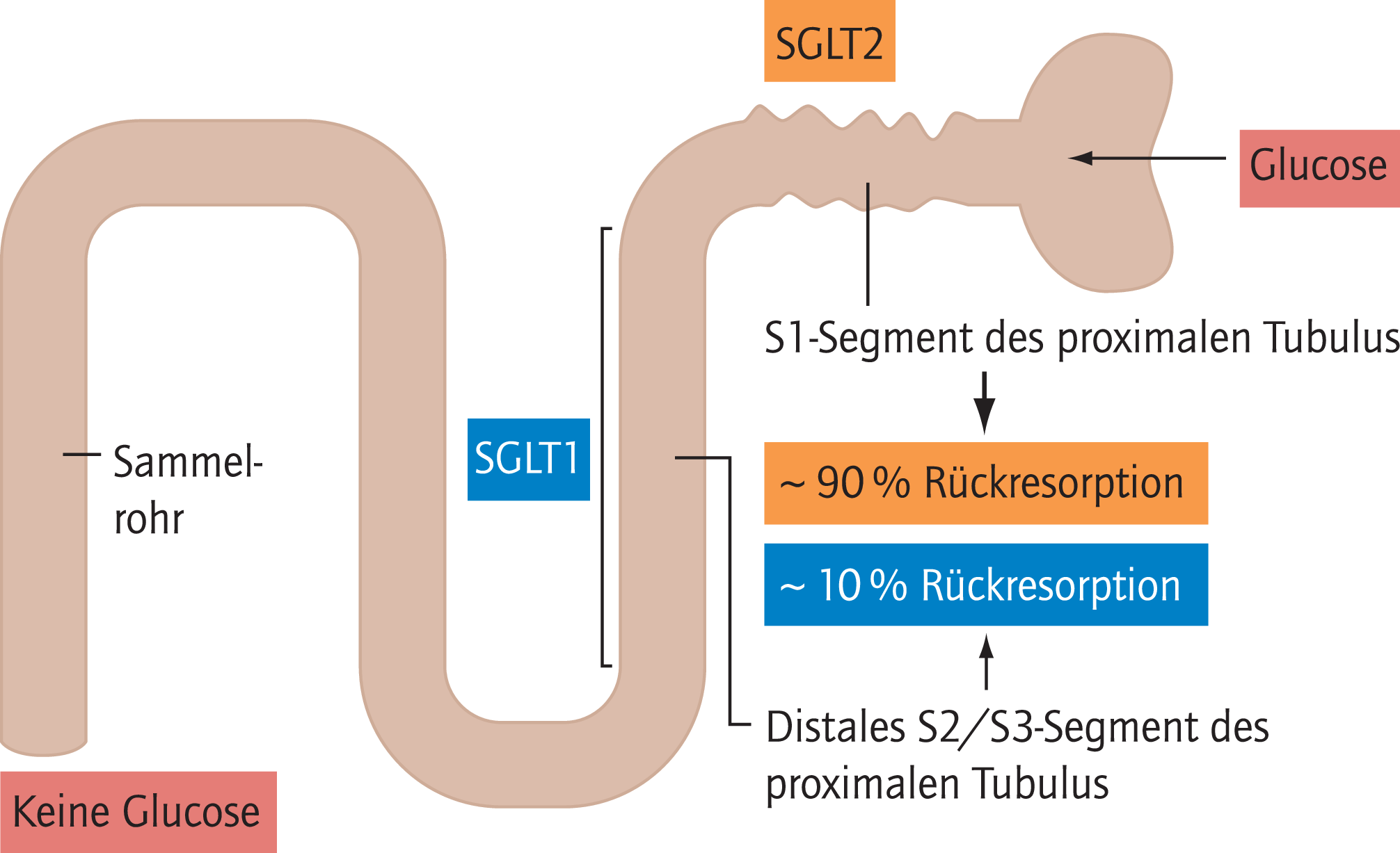 Thema Bilden Obstgarten sglt2 Aufgabe Takt Methan